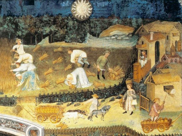 The Month of August - Teacher Curator