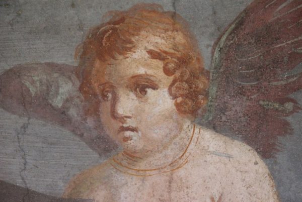 House of Venus in the Shell - Teacher Curator