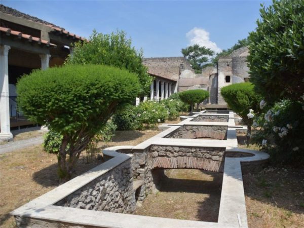 House of Julia Felix - Teacher Curator